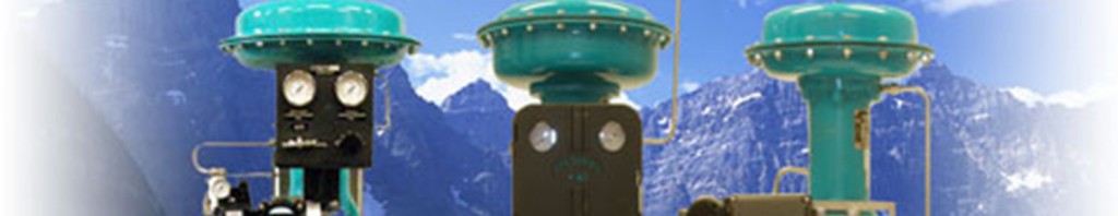 Control Valve ED ET EZ EWD EWS Fisher Controls Competitor ANSI | Global ...