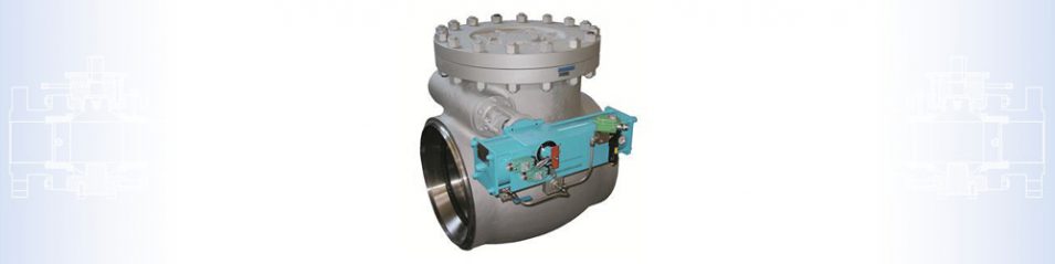 AUTOMATIC CHECK VALVES | Global Supply Line