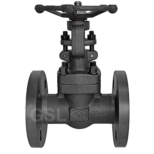 APV Forged Globe Valve API 602 (Integral Flanges) | Global Supply Line