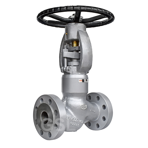 Pressure Seal Bonnet Valve and Bolted Bonnet, complete with Garlock or ...