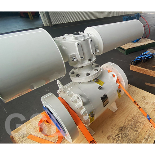 Sferova Photos Gallery | Global Supply Line