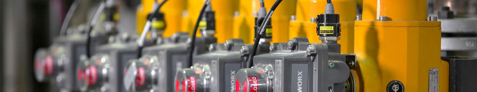 TopWorx and Go Switches Controllers | Global Supply Line